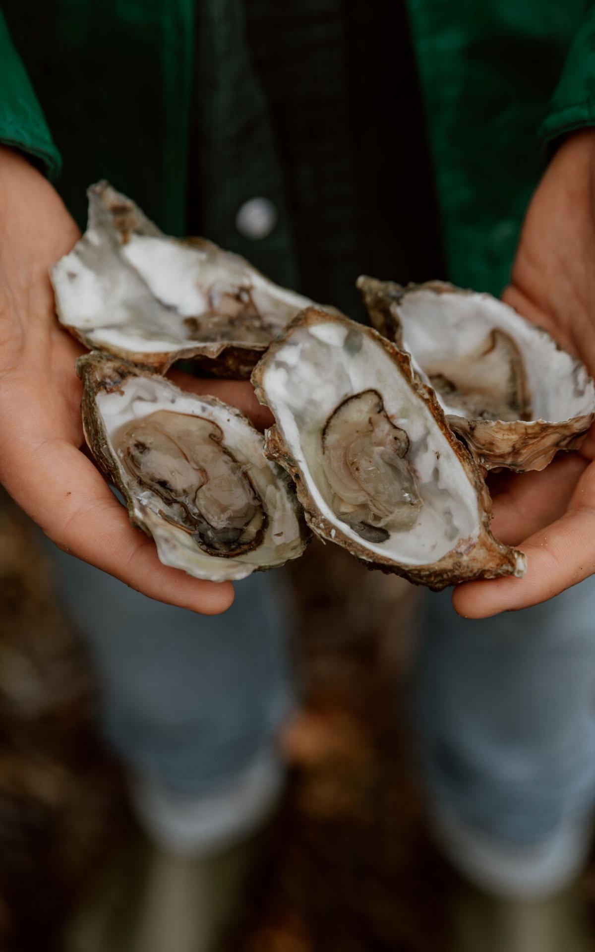 From Rennes to Quimper, Southern Brittany is just a train ride away!