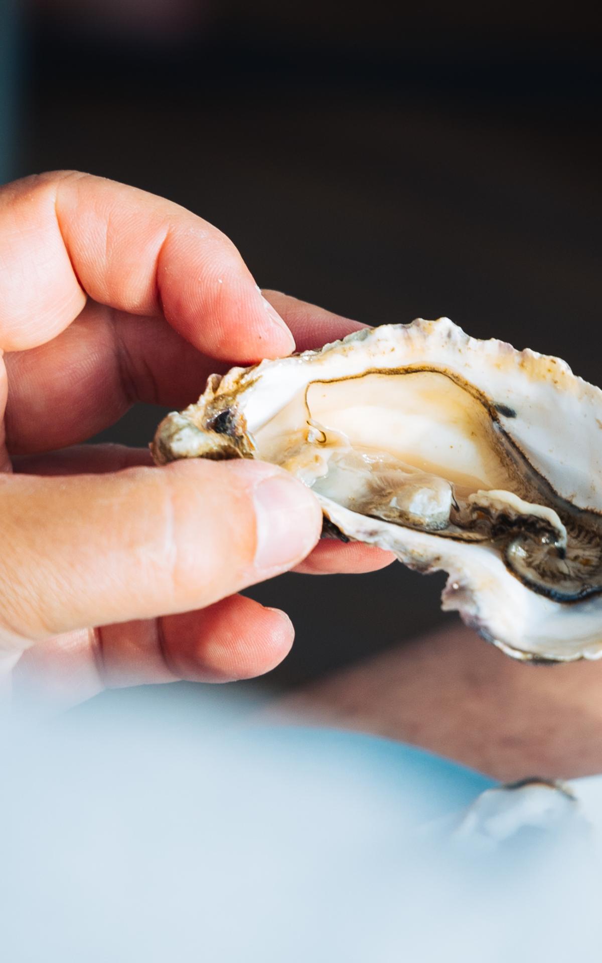 Local food and produce